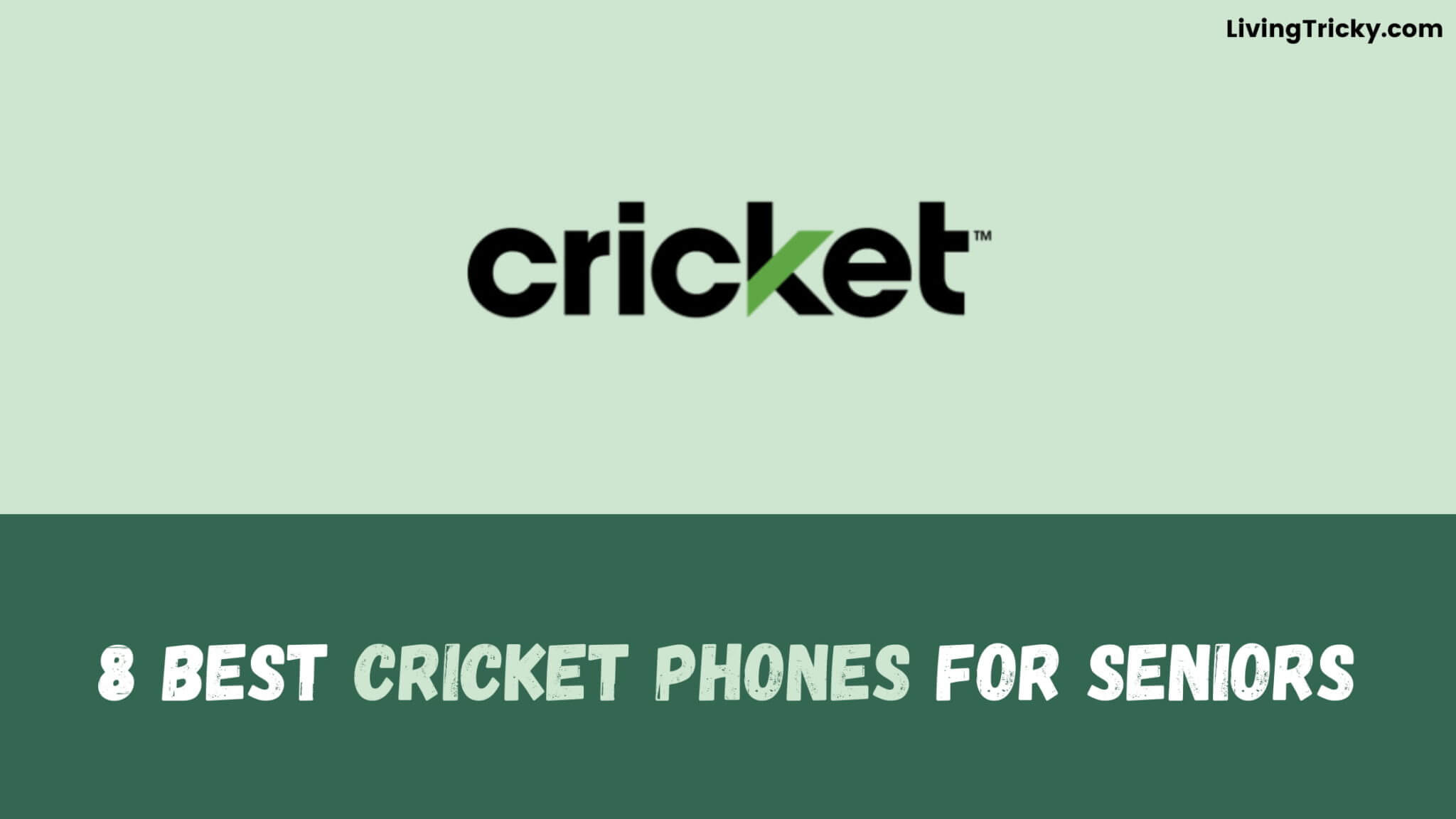 8 Best Cricket Phones for Seniors – Cricket Senior Plans – LivingTricky