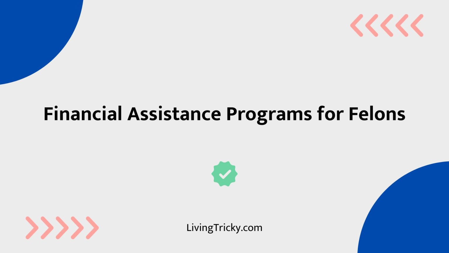 Financial Assistance Programs for Felons: How to Get Help – LivingTricky